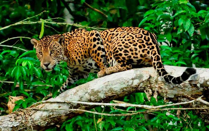 Destinations in Peru